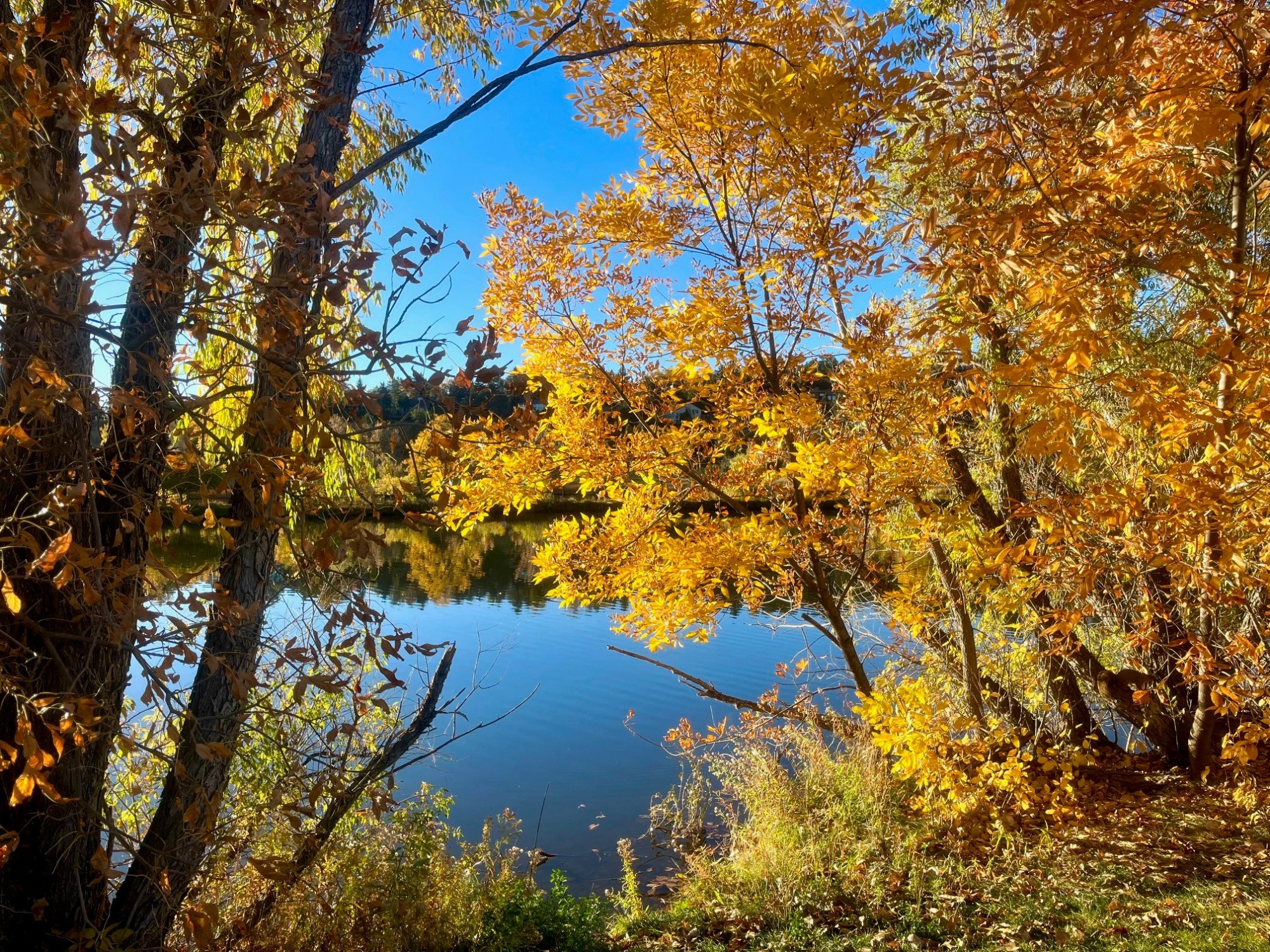 Solve Final Coordinates for GCAG59Y (No Trackable Code) jigsaw puzzle ...