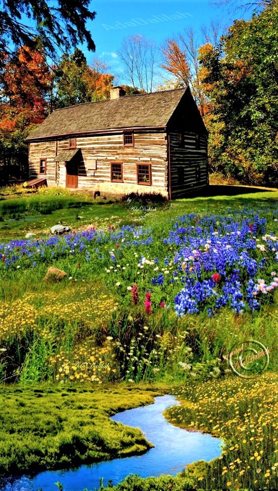 Solve House in the flower field jigsaw puzzle online with 60 pieces