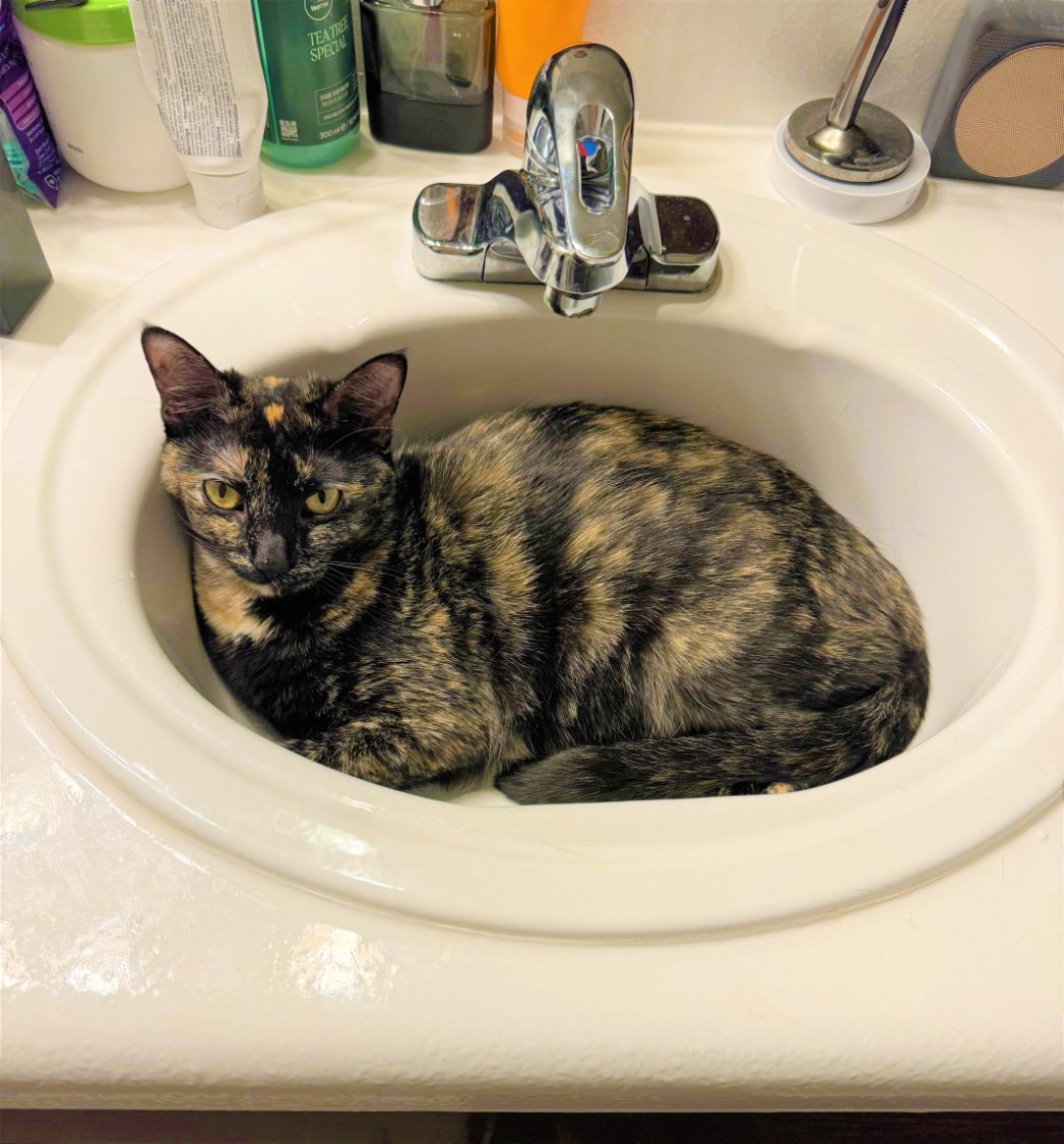 Solve How to Keep your Bathroom Sink especially Shiny jigsaw puzzle ...