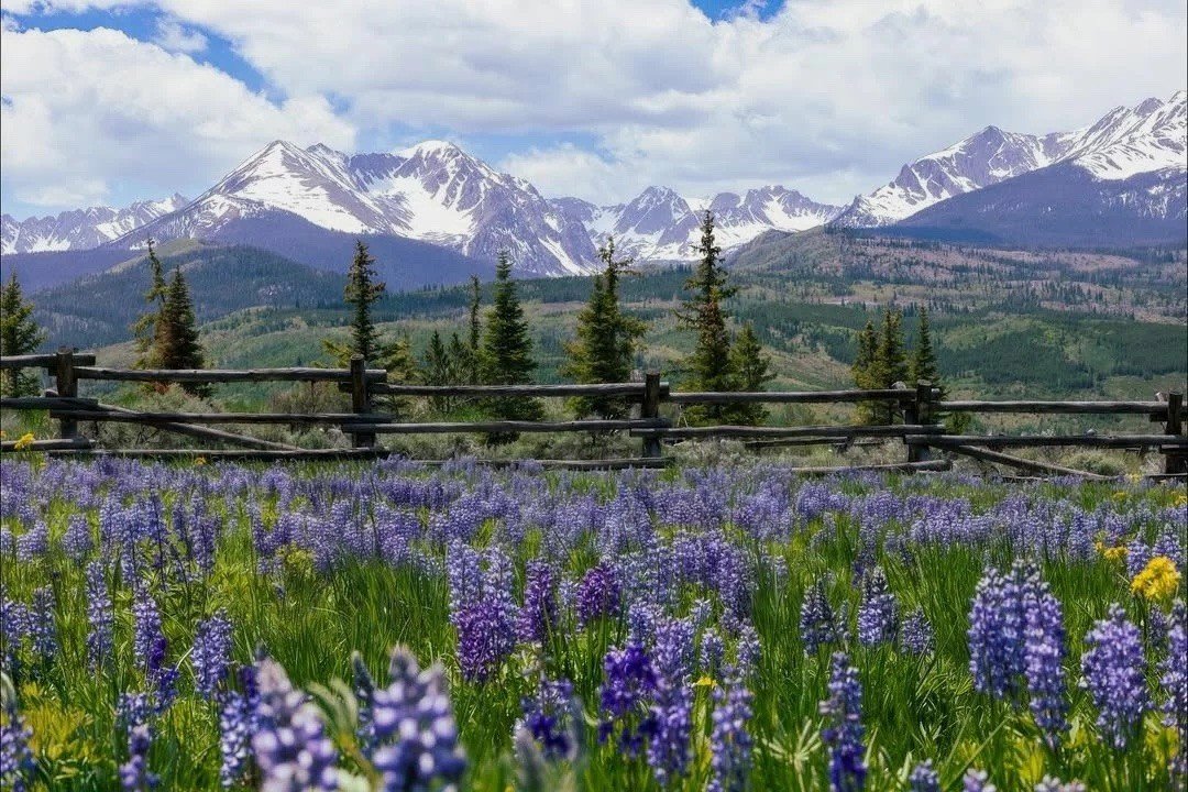 Solve Silverthorne, Colorado, USA jigsaw puzzle online with 117 pieces