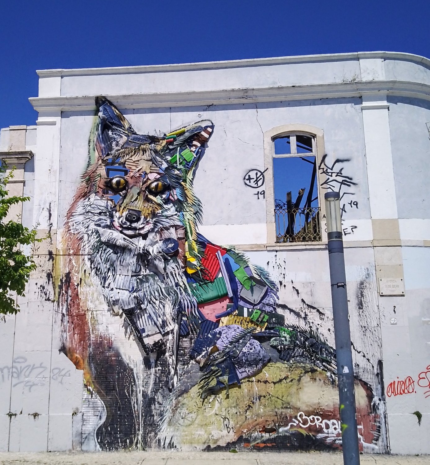 Solve Raposa de Lixo (Trash Fox) Lisbon jigsaw puzzle online with 100 ...