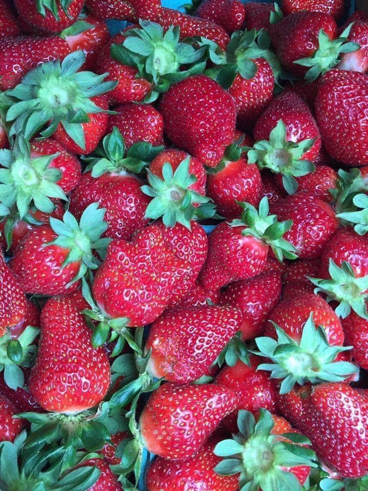 Jigsaw Puzzle | 130 pieces | It's Strawberry Season!!! | Jigidi