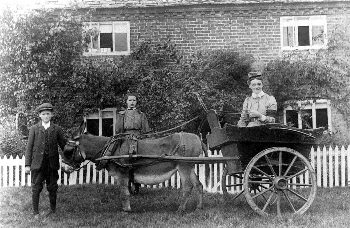 Solve Nurse Wolfe, around 1895 jigsaw puzzle online with 40 pieces