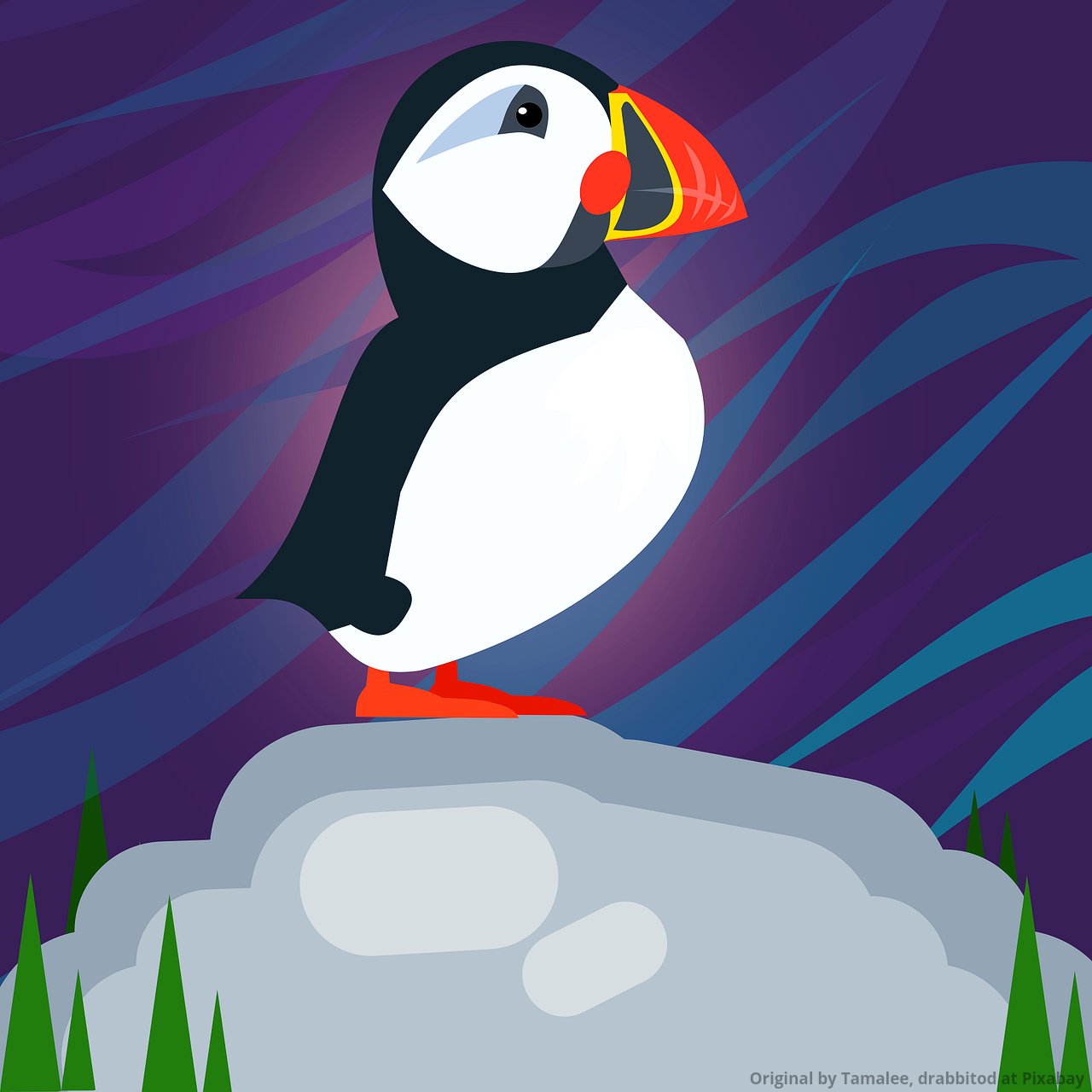 Solve Puffin jigsaw puzzle online with 49 pieces