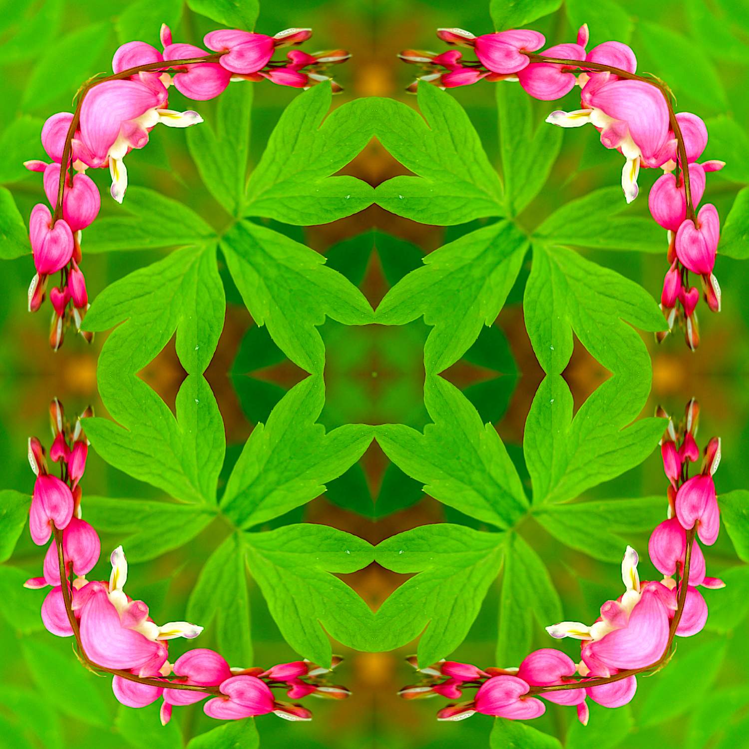 Jigsaw Puzzle | 144 pieces | #2 large | Jigidi