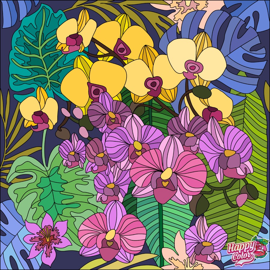 Solve Orchids jigsaw puzzle online with 36 pieces