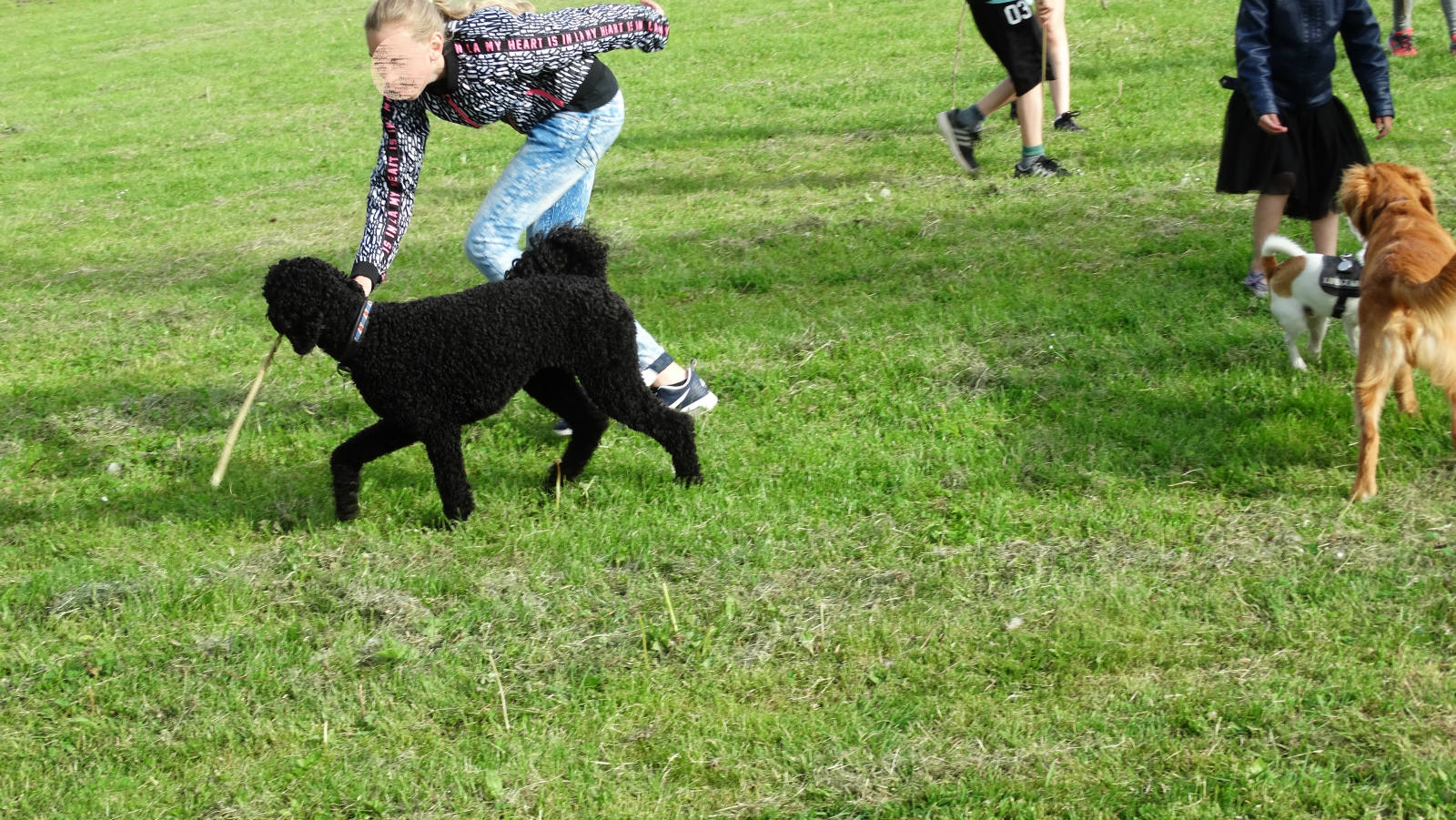 Solve The kids play dog games with us. ☺ jigsaw puzzle online with 170 ...