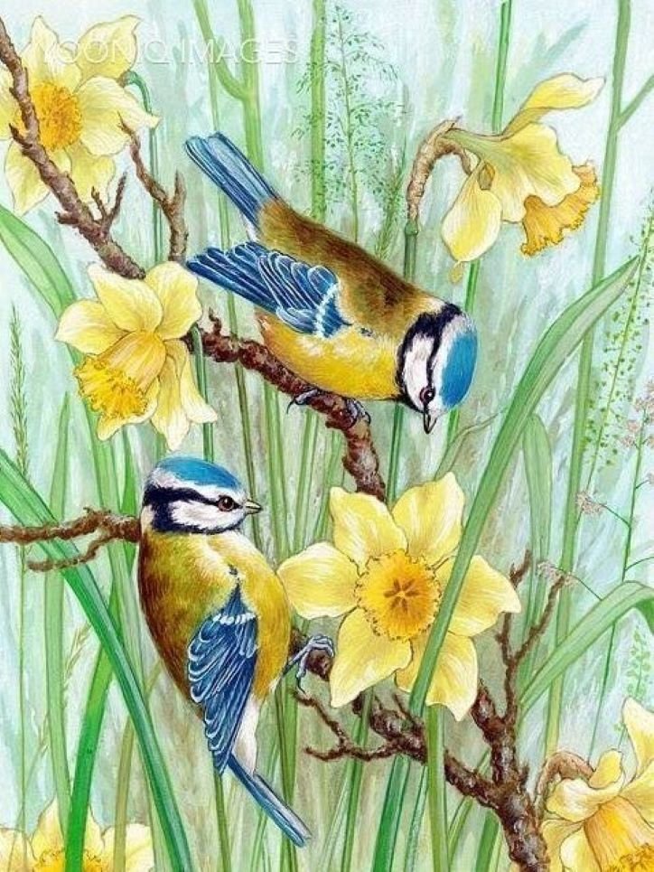 Solve Springtime Beauty jigsaw puzzle online with 154 pieces