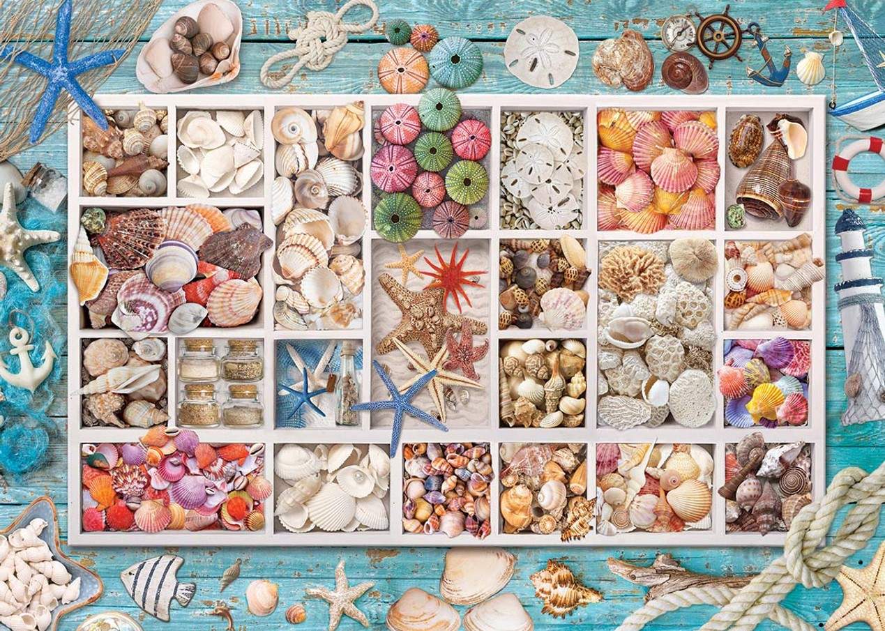 Jigsaw Puzzle | Seashell Collection | 117 pieces | Jigidi
