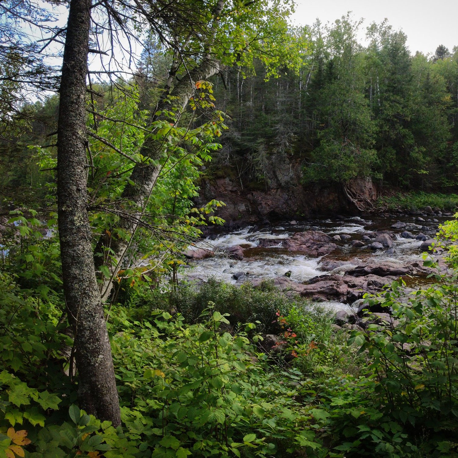 Solve Running Rapids jigsaw puzzle online with 100 pieces