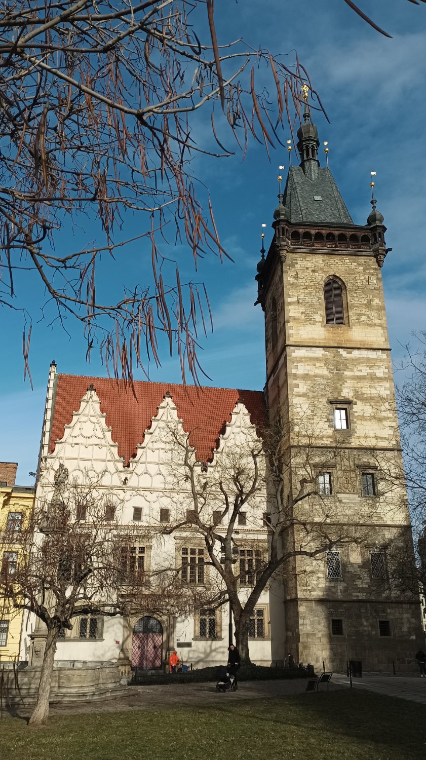 Solve Novoměstská radnice, Praha, ČR jigsaw puzzle online with 45 pieces
