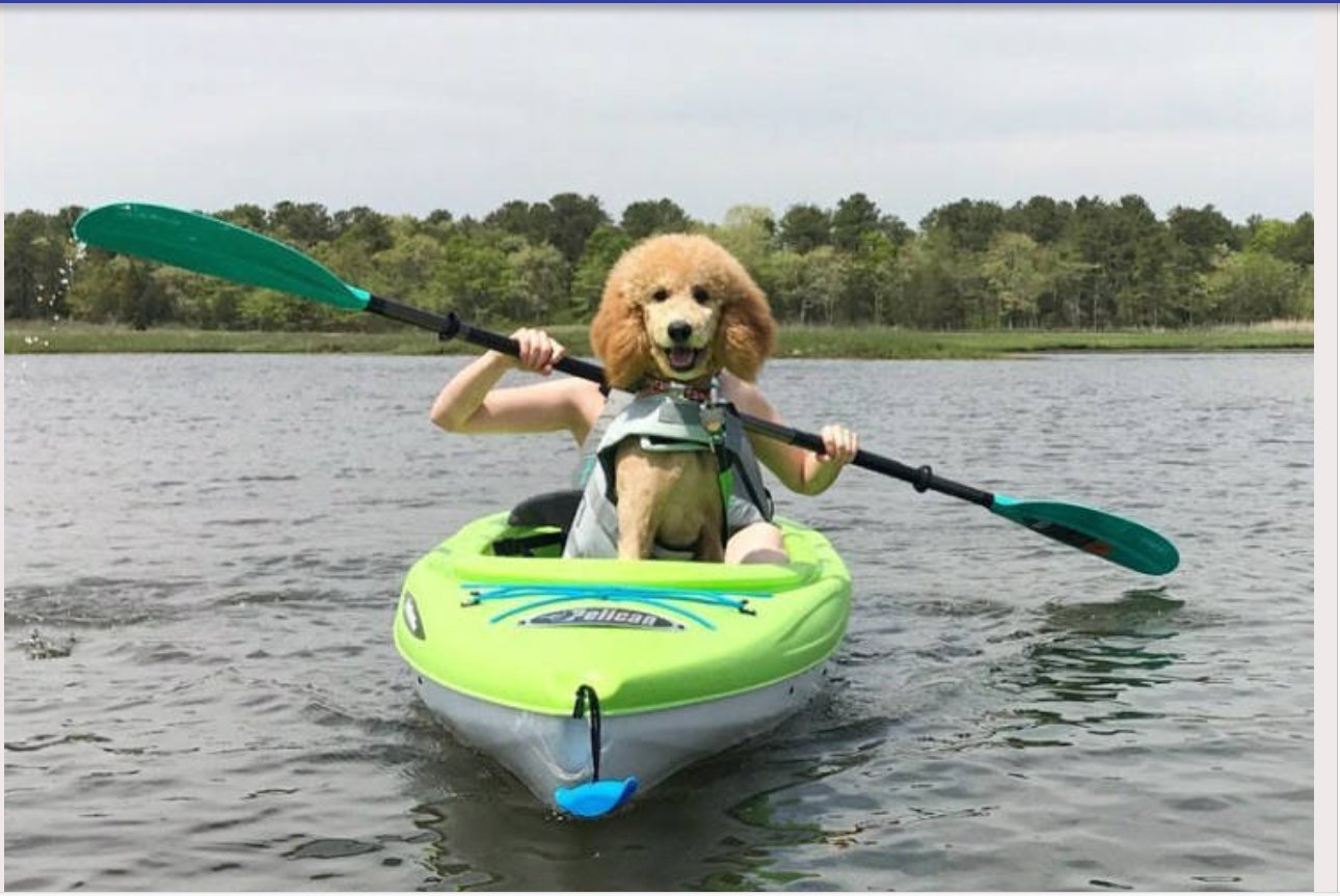 Solve Funny, Confusing, Perfect Timing. jigsaw puzzle online with 15 pieces