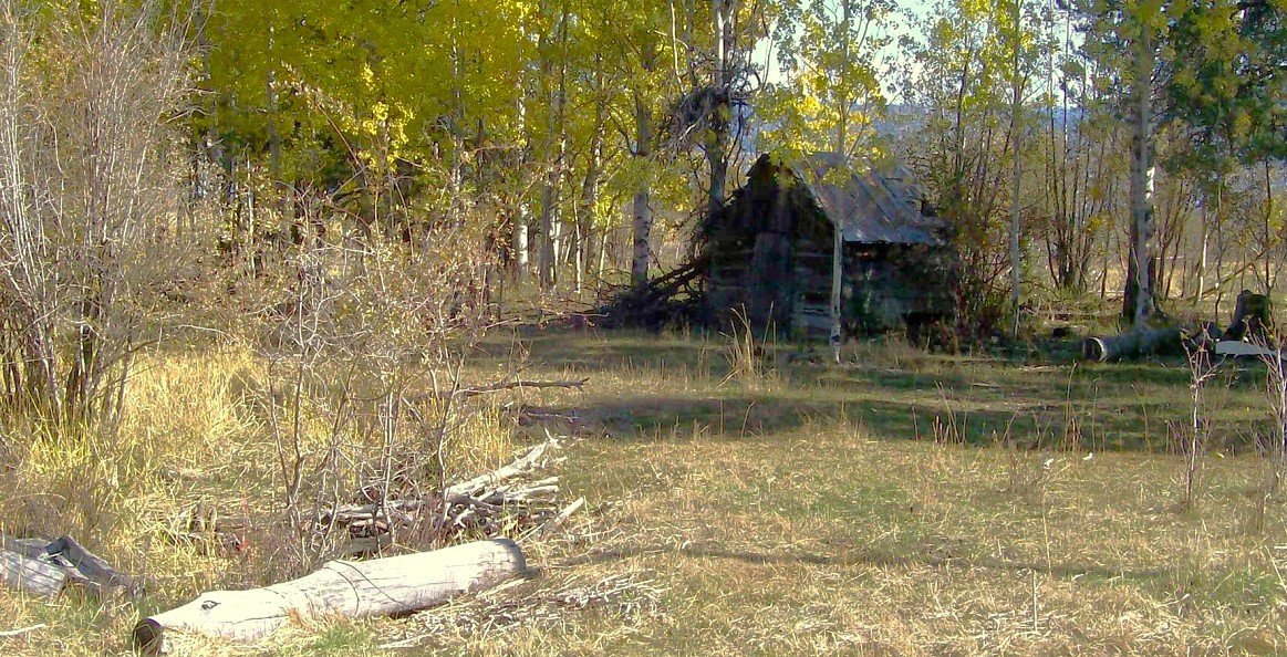 Solve "Mountain Shack" jigsaw puzzle online with 50 pieces