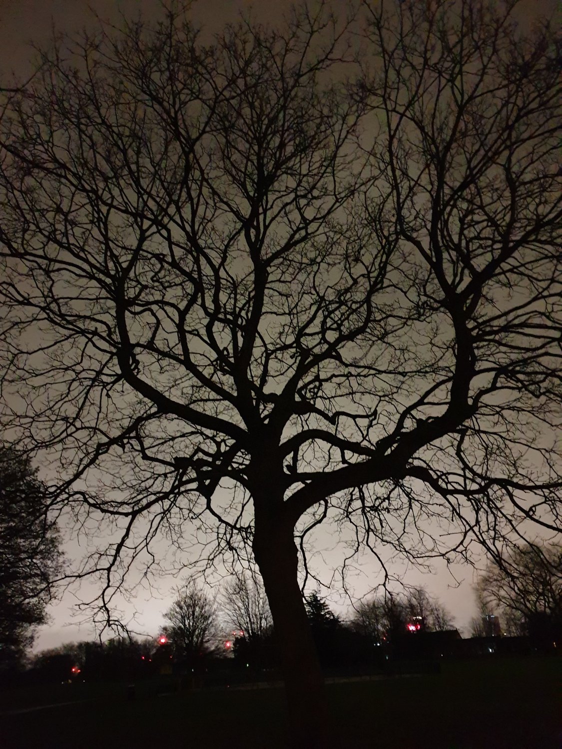 Solve Tree of Darkness Easy jigsaw puzzle online with 154 pieces