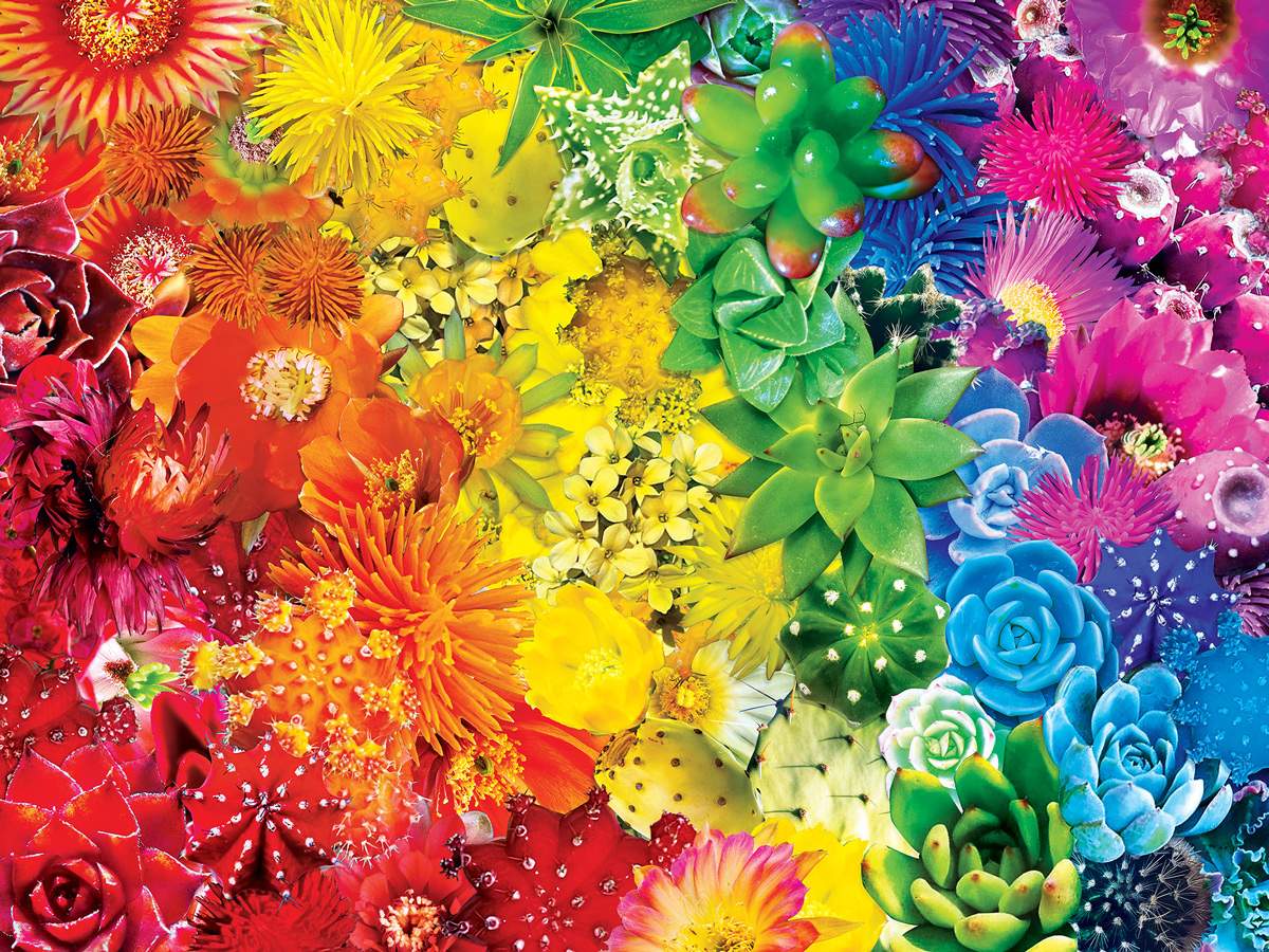 Jigsaw Puzzle | Rainbow Flowers #2 | 88 pieces | Jigidi