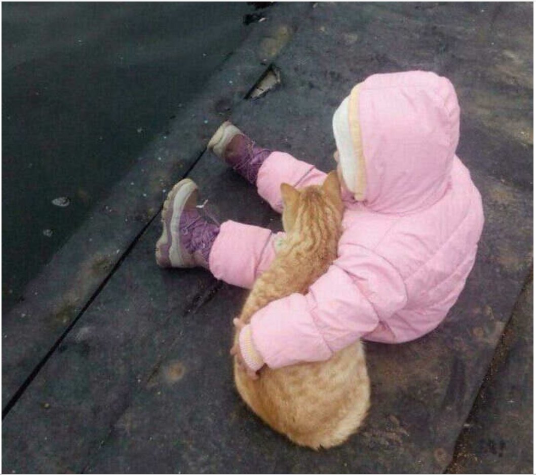 Solve Friends Just Being Friends! An Adorable Duo. jigsaw puzzle online ...