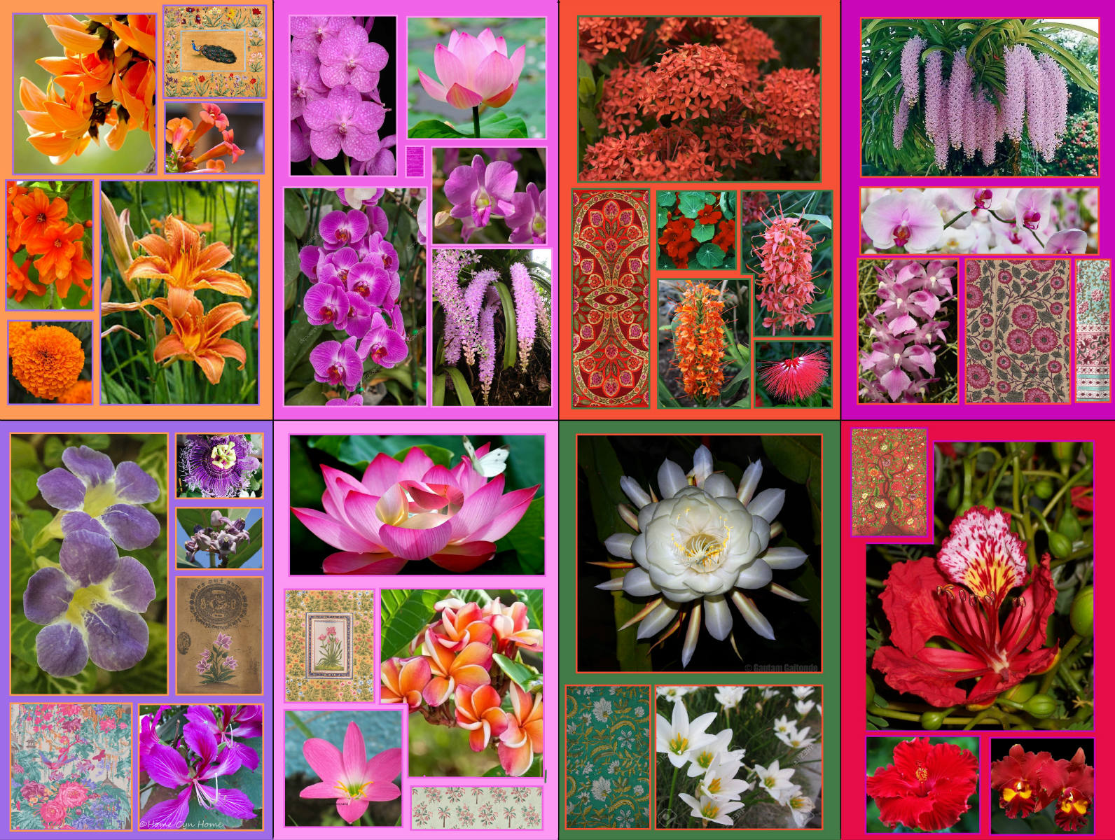 Puzzle | 540 piezas | Flowers of India | Jigidi