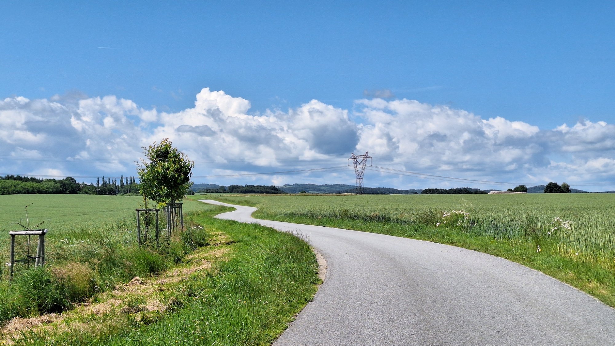 Solve Cesta -Way jigsaw puzzle online with 60 pieces