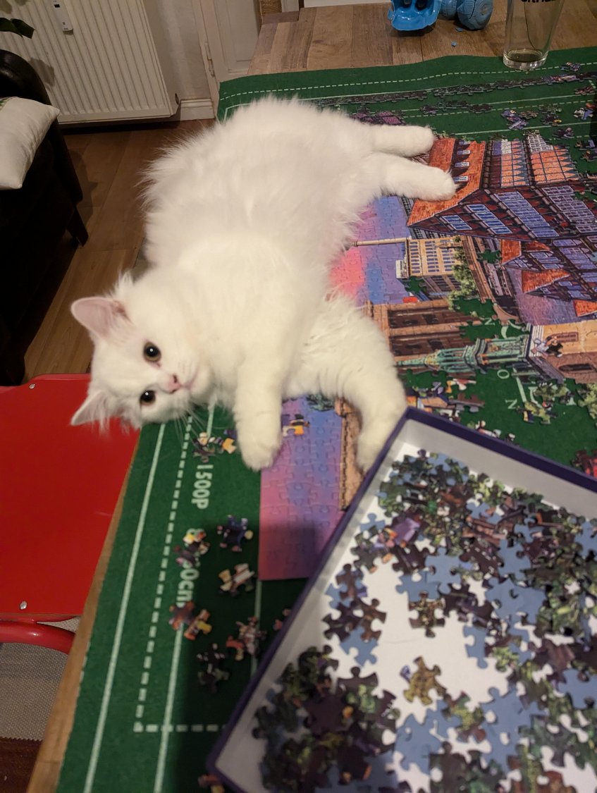 Jigsaw Puzzle | 12 pieces | Jigsaw Puzzle Sorting Aide | Jigidi