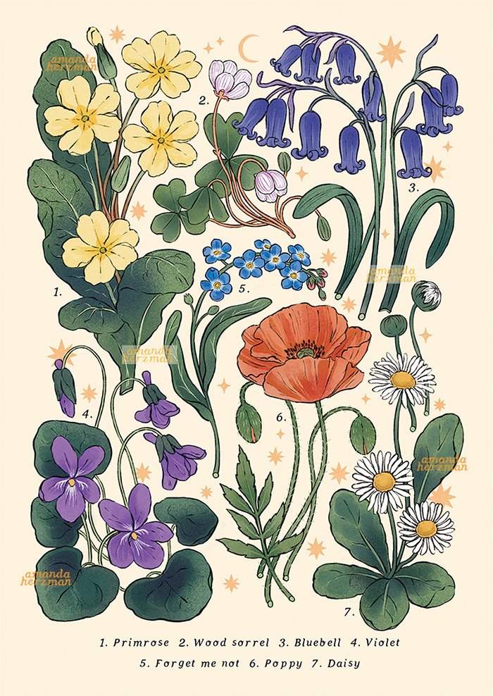 Jigsaw Puzzle | 192 pieces | "wildflowers of meadows and forests" by ...