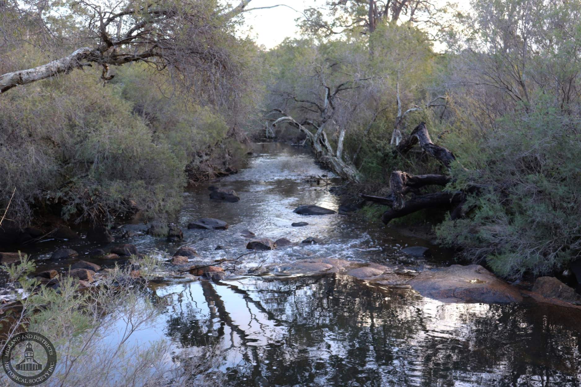 Solve Jane Brook WA jigsaw puzzle online with 150 pieces