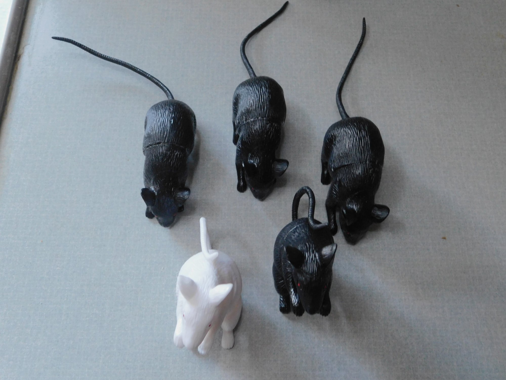 Solve Rats! jigsaw puzzle online with 108 pieces