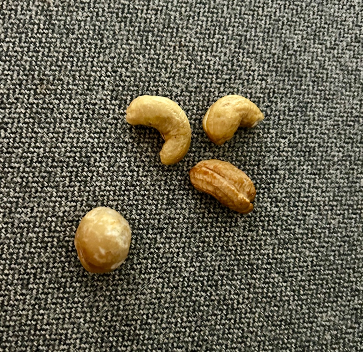 Solve Odd nut 🤷‍♀️ jigsaw puzzle online with 9 pieces