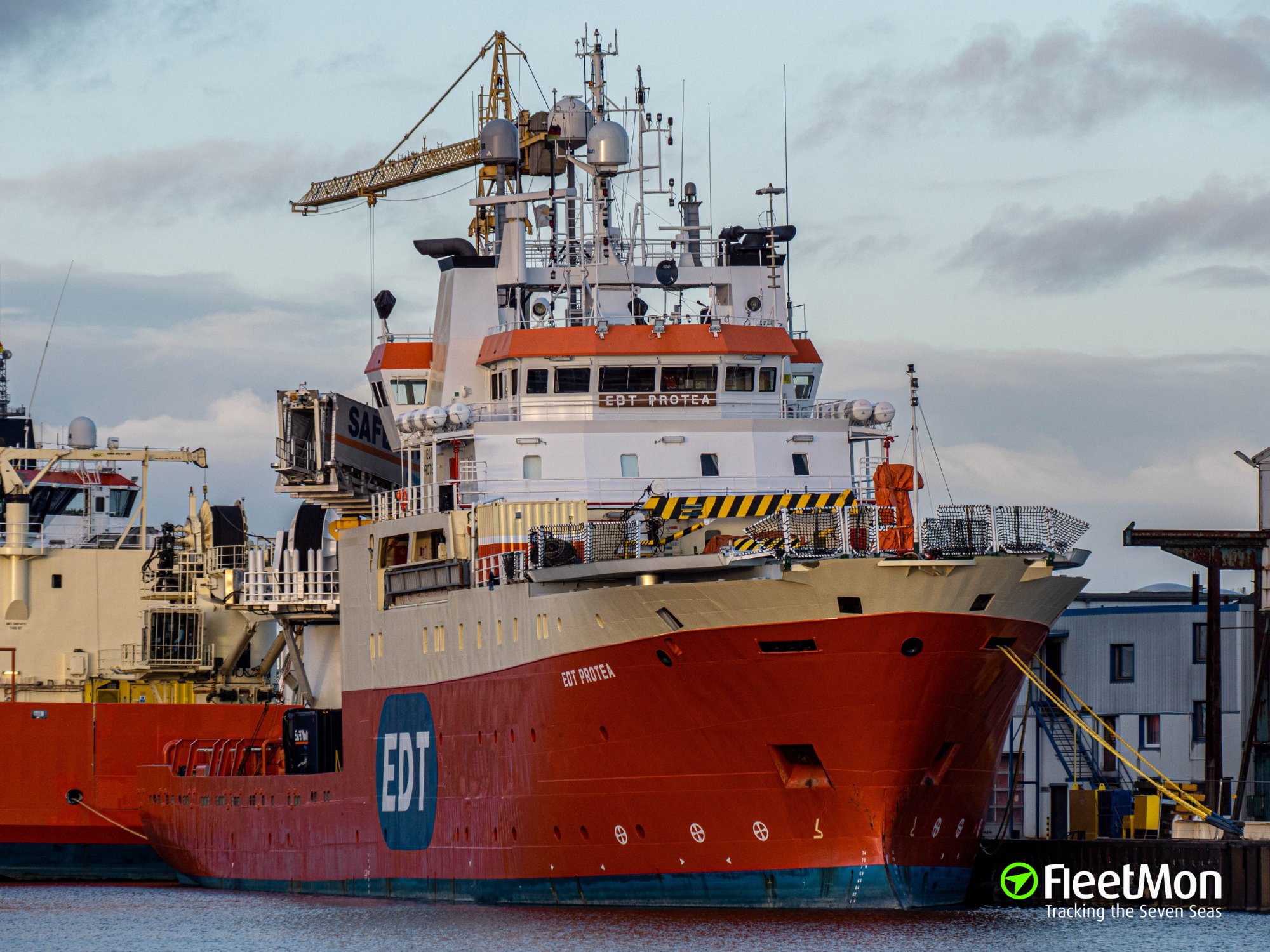 Solve edt-protea jigsaw puzzle online with 594 pieces