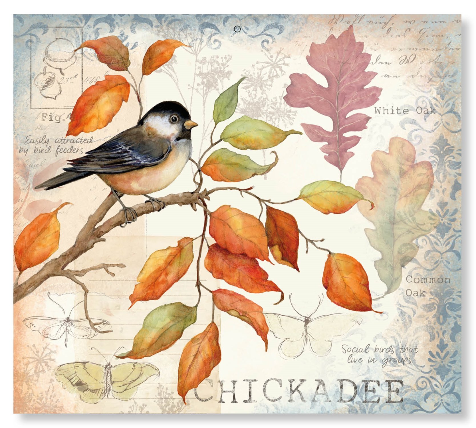 Solve Chickadee jigsaw puzzle online with 255 pieces