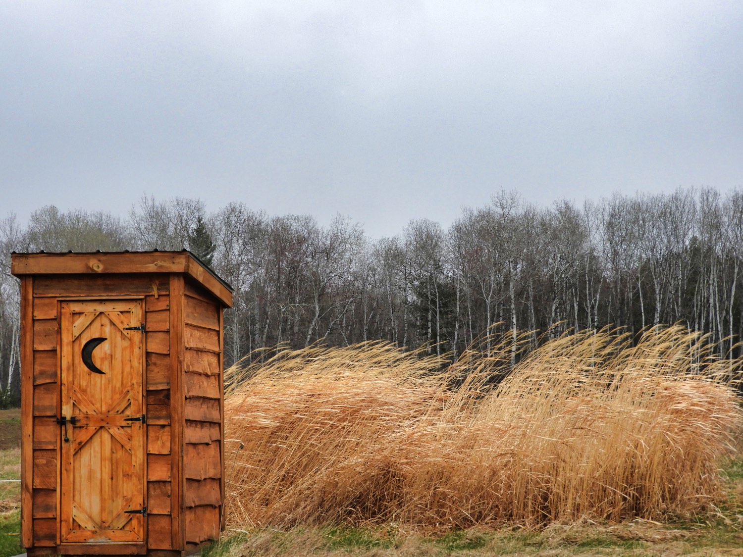 Solve One windy day jigsaw puzzle online with 20 pieces