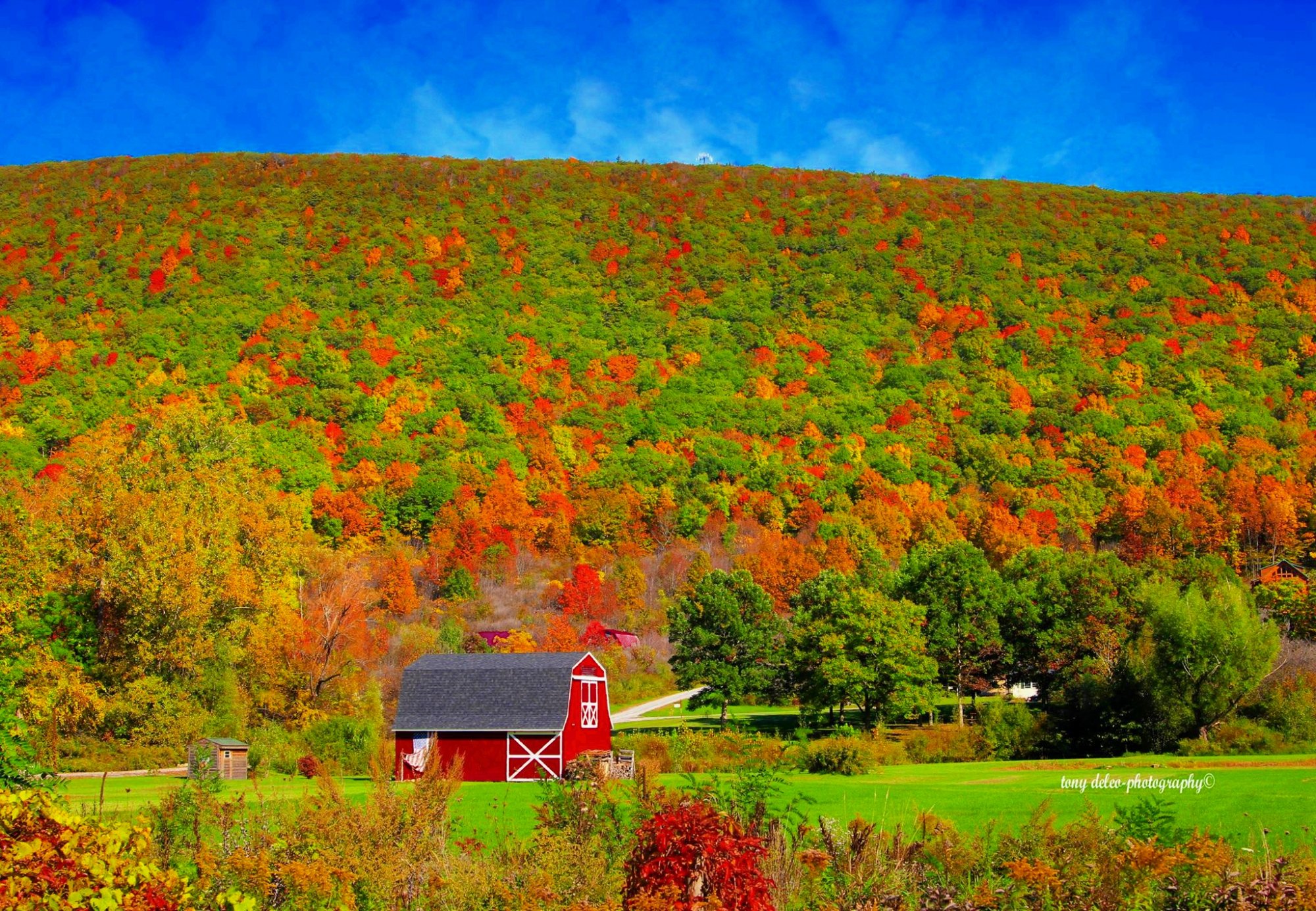 Solve Fall in the Finger Lakes jigsaw puzzle online with 150 pieces