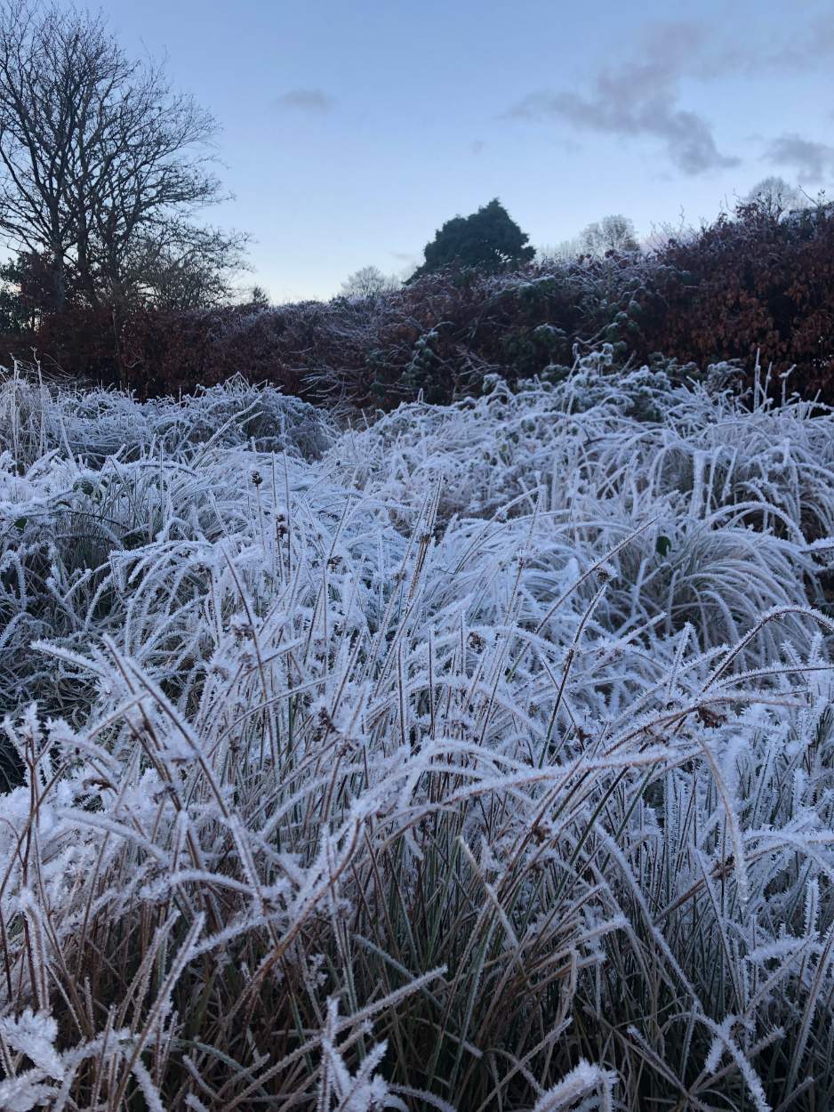 Solve Frosty Frost jigsaw puzzle online with 80 pieces