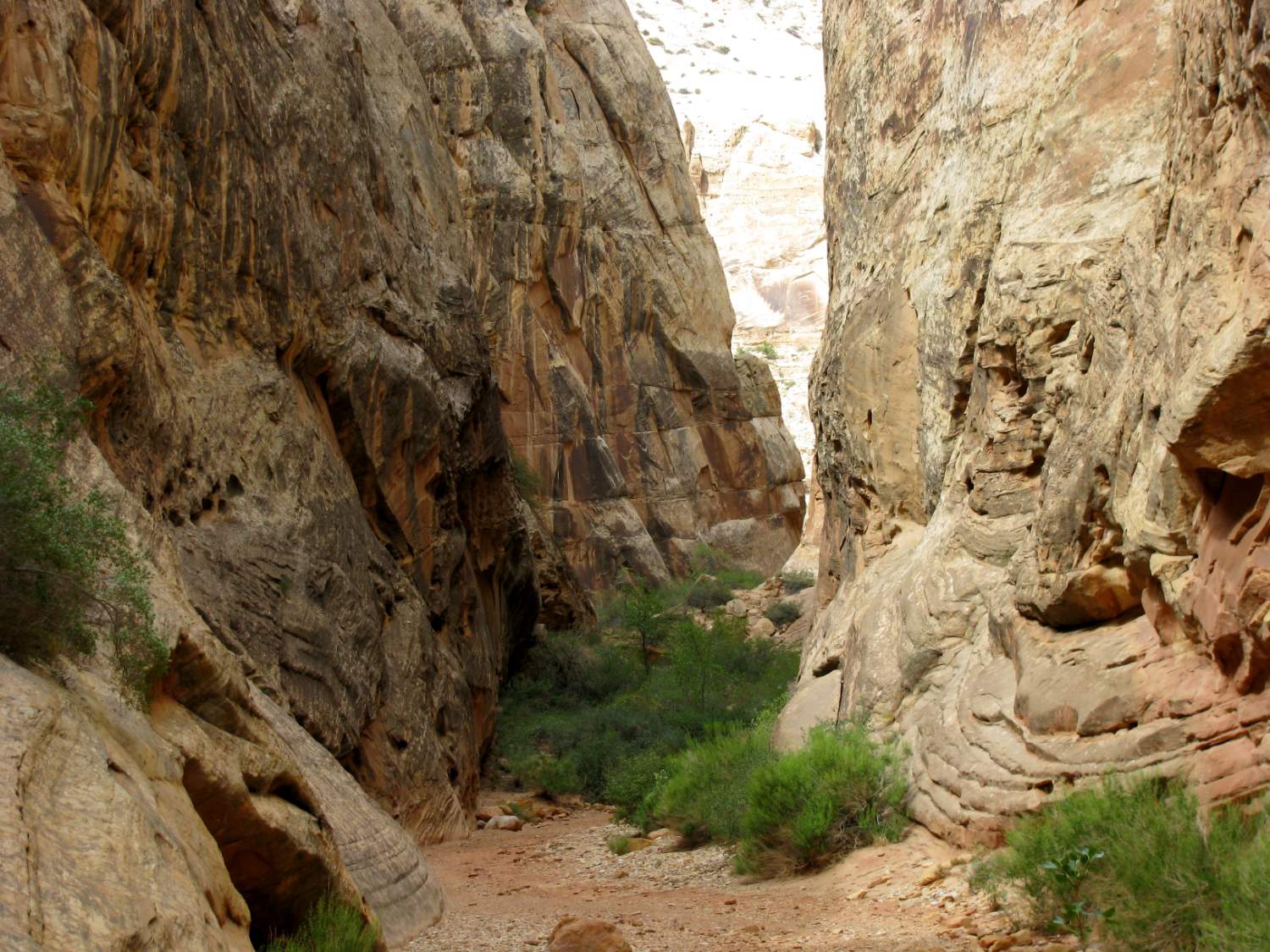 Solve The Sheer Cliffs Of Grand Wash In Capitol Reef National Park ...