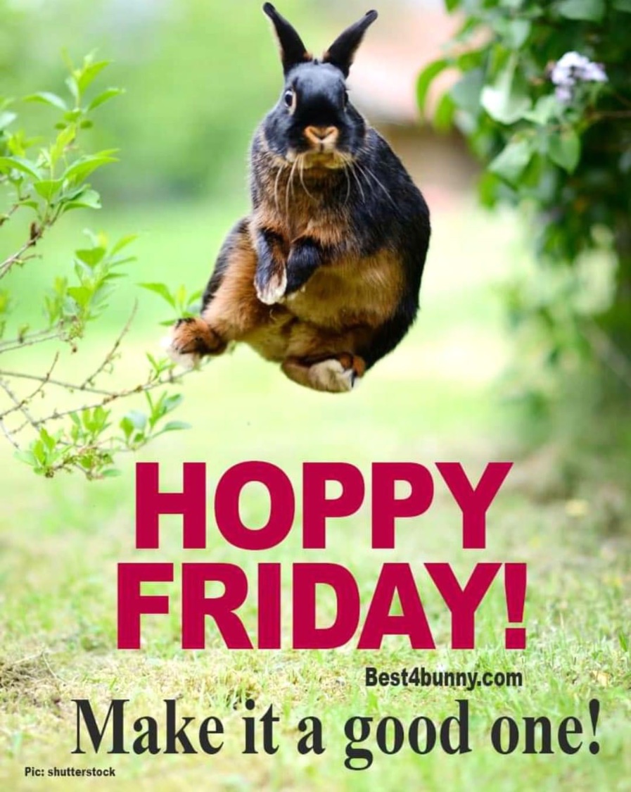 Solve Friday jigsaw puzzle online with 20 pieces