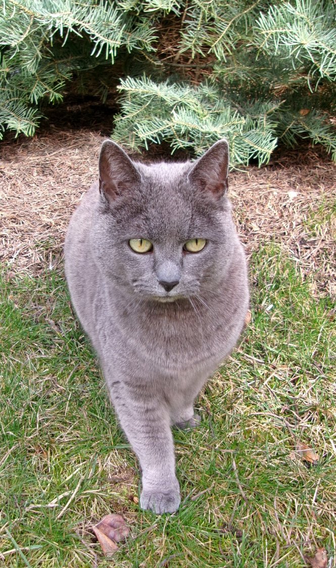 Solve BOŽENKA jigsaw puzzle online with 15 pieces