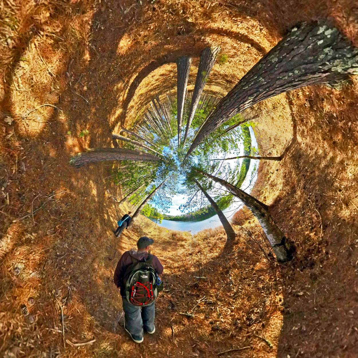 Solve McCarthy Beach State Park jigsaw puzzle online with 100 pieces