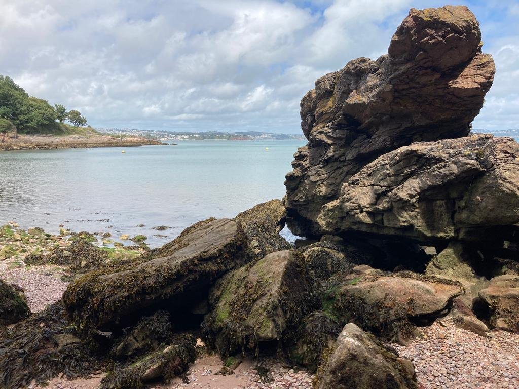 Solve Elbery Cove, Devon jigsaw puzzle online with 88 pieces