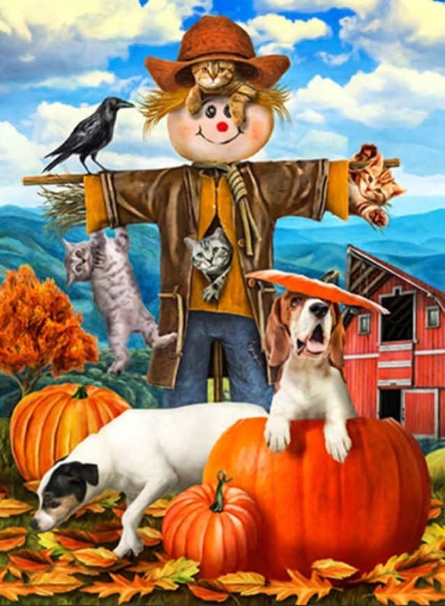 Solve Kittens on Scarecrow jigsaw puzzle online with 70 pieces