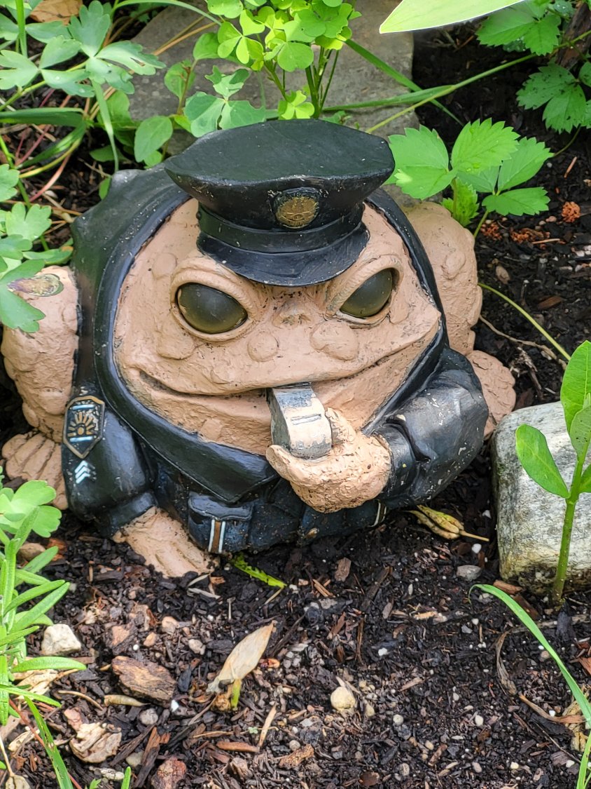 Solve Officer Toad jigsaw puzzle online with 12 pieces