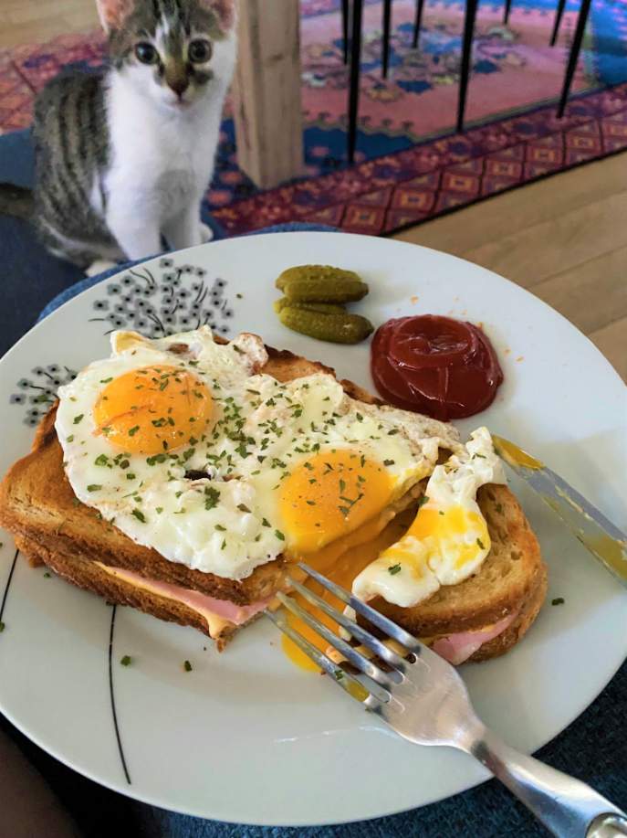 Solve Can we share? jigsaw puzzle online with 12 pieces