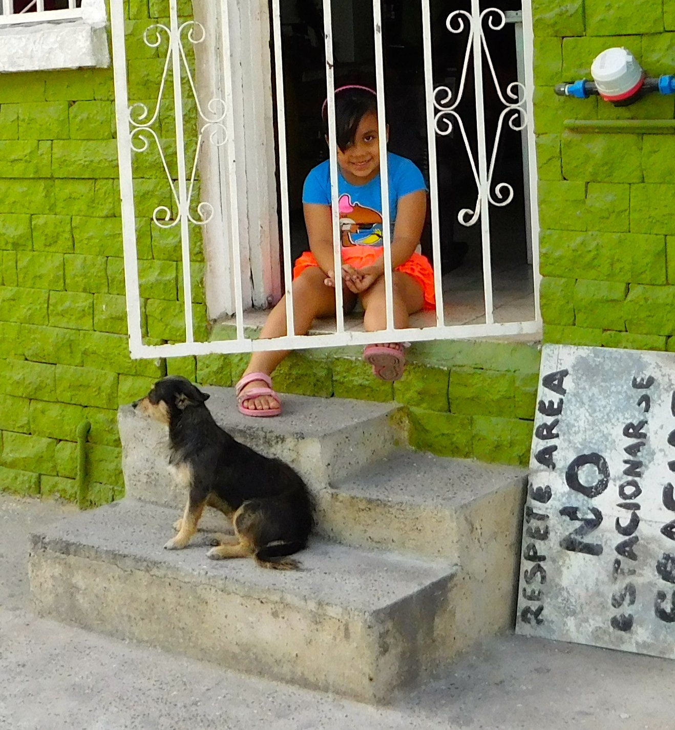 Solve Perro y nina en Mexico jigsaw puzzle online with 121 pieces