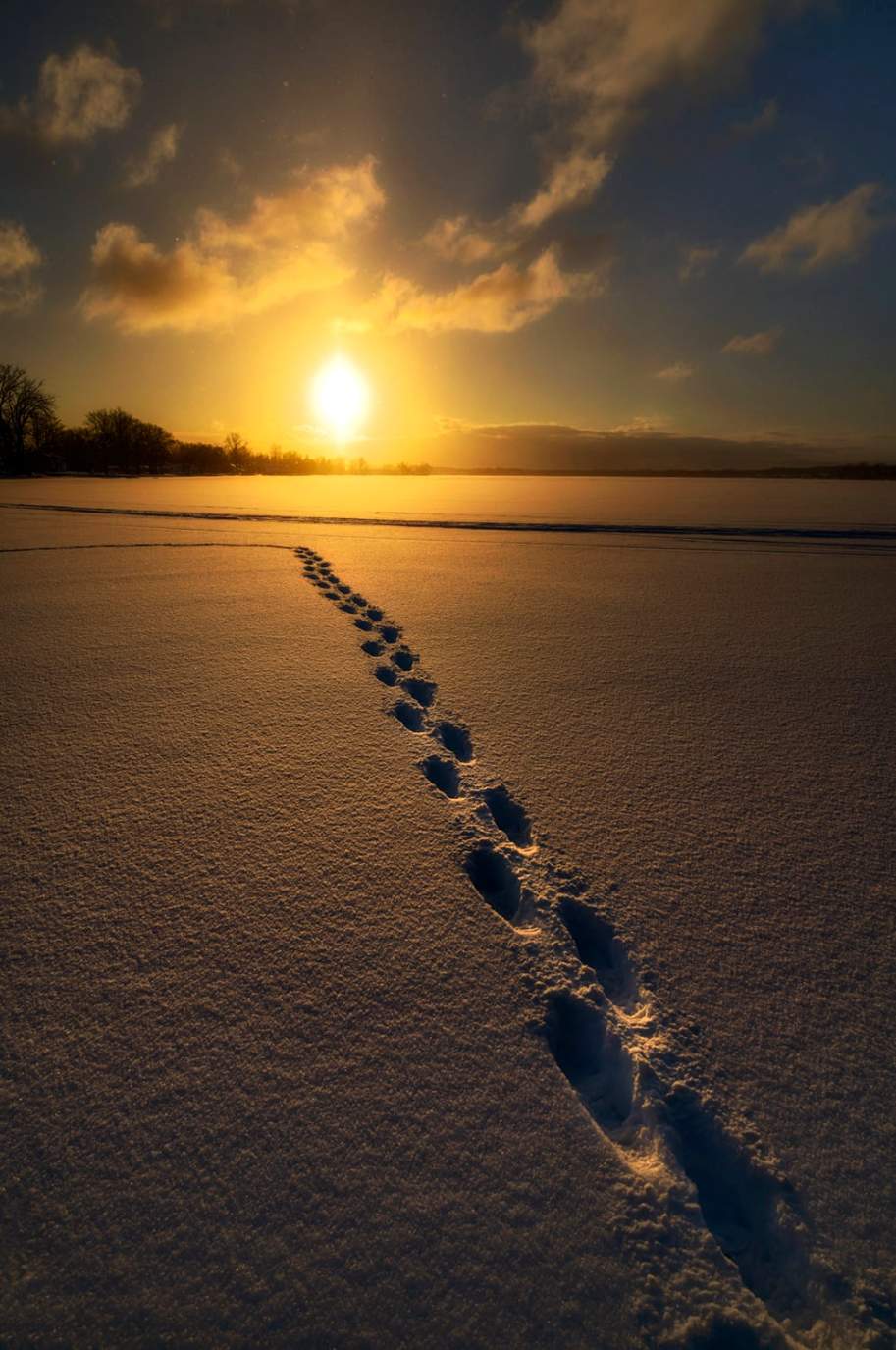 Solve The Photographer's Footsteps jigsaw puzzle online with 77 pieces