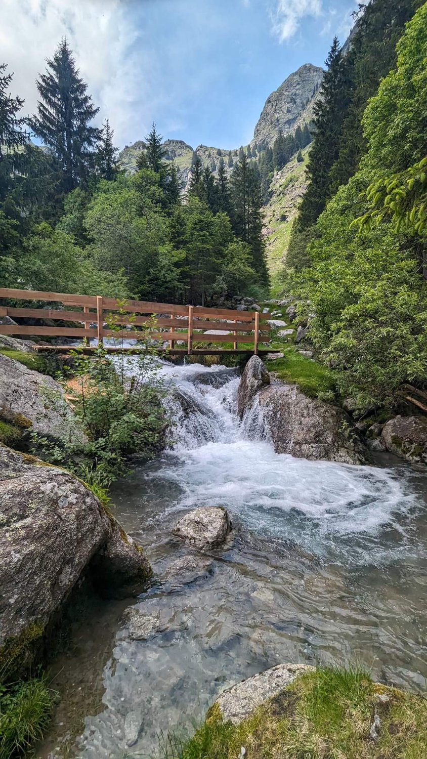 Solve mountain stream jigsaw puzzle online with 299 pieces
