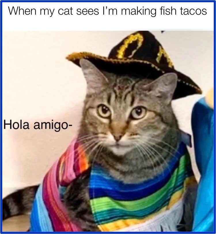 Solve Happy Fish Taco Tuesday! jigsaw puzzle online with 36 pieces