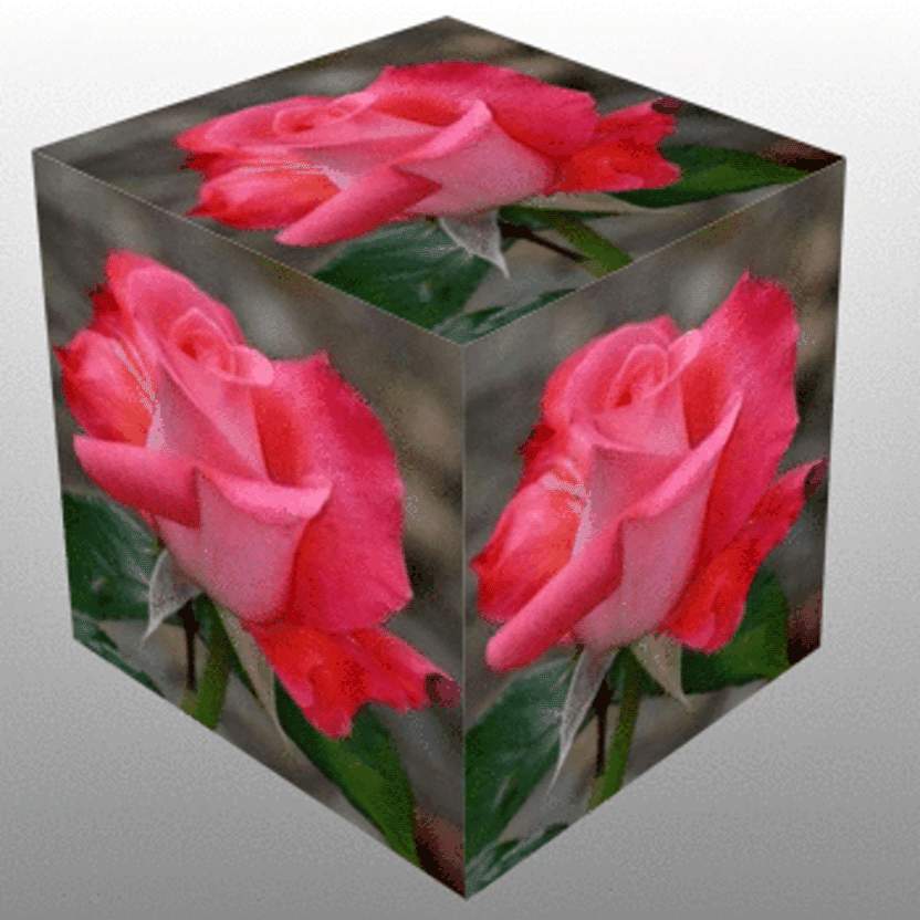 Solve 684 jigsaw puzzle online with 25 pieces