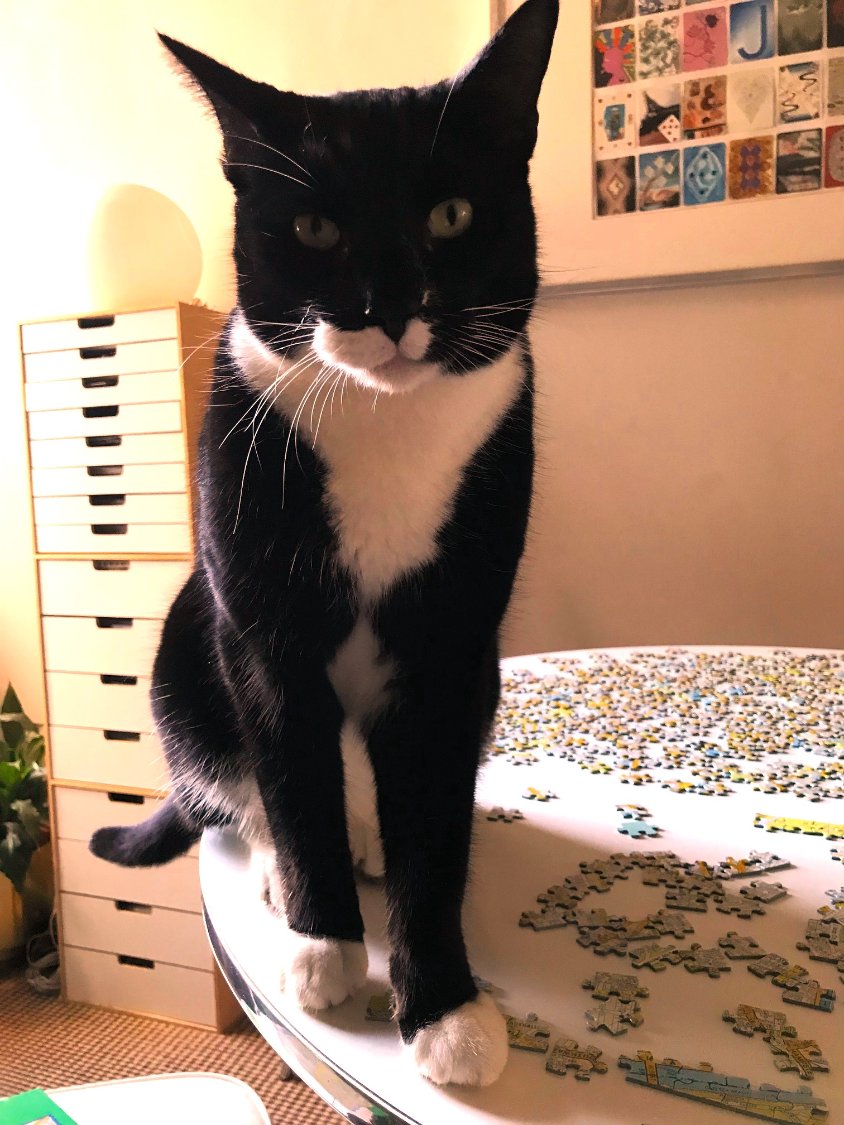 Solve SECURITY CAMERA FOOTAGE - 1 OF 4 jigsaw puzzle online with 12 pieces