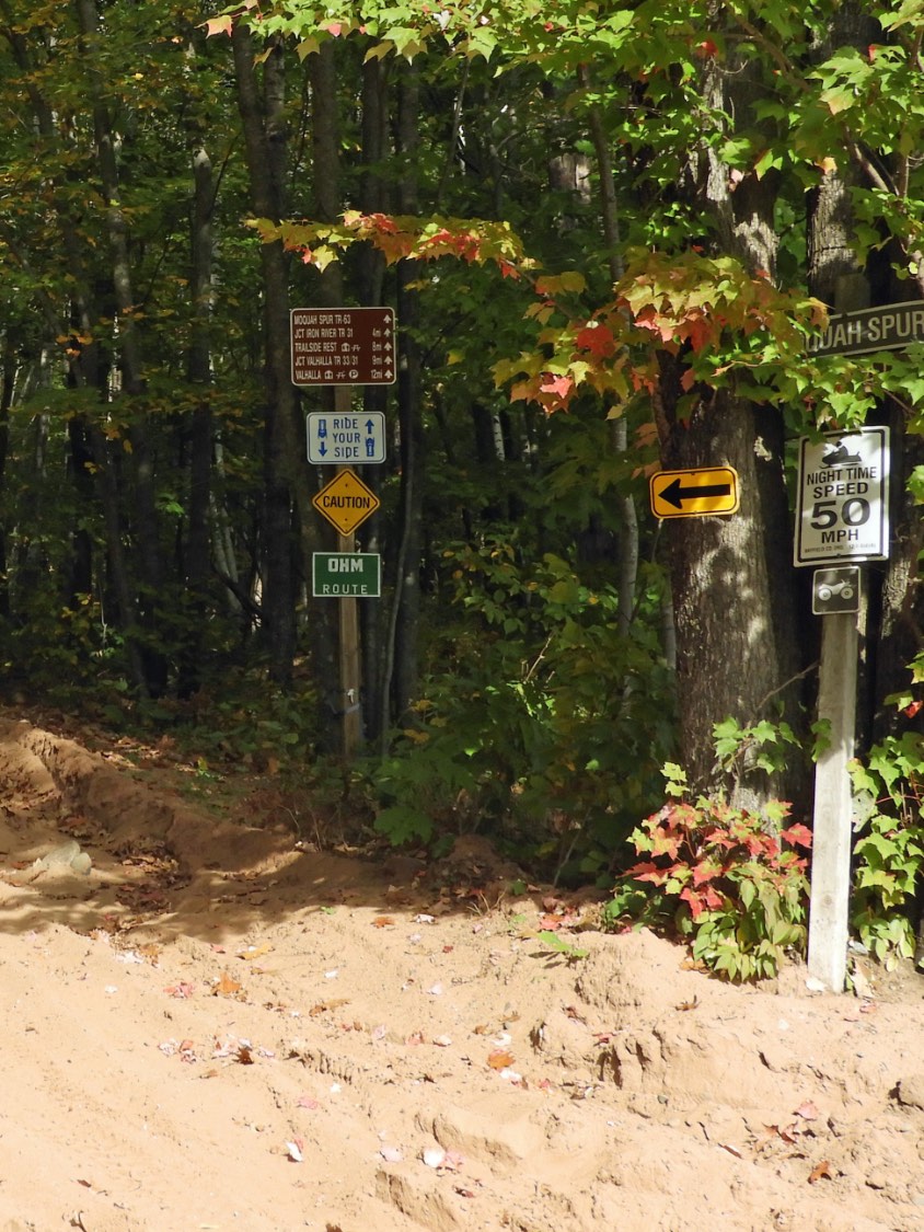 Solve The beginning of an ATV trail jigsaw puzzle online with 20 pieces