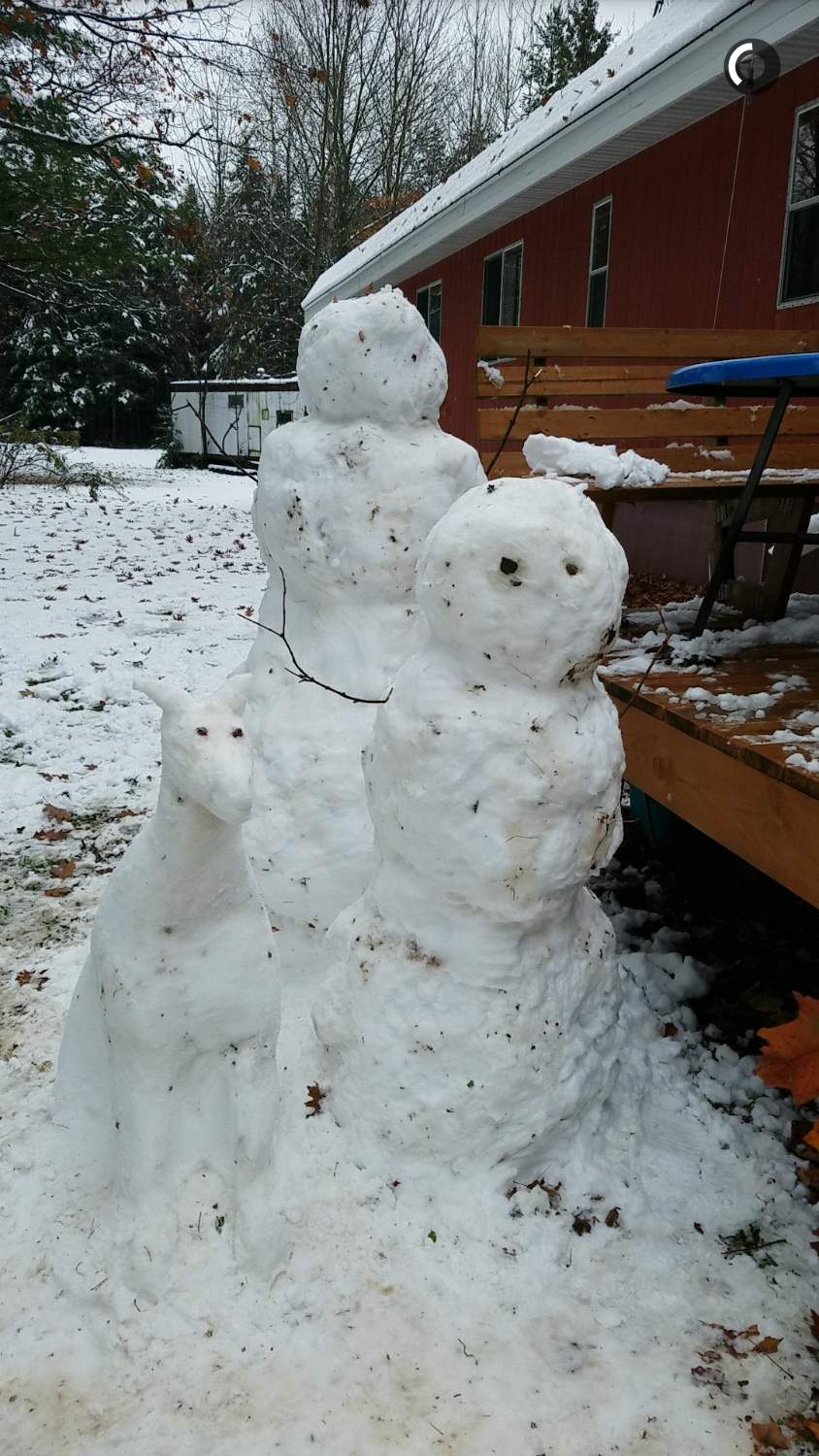 Solve Snow family jigsaw puzzle online with 120 pieces