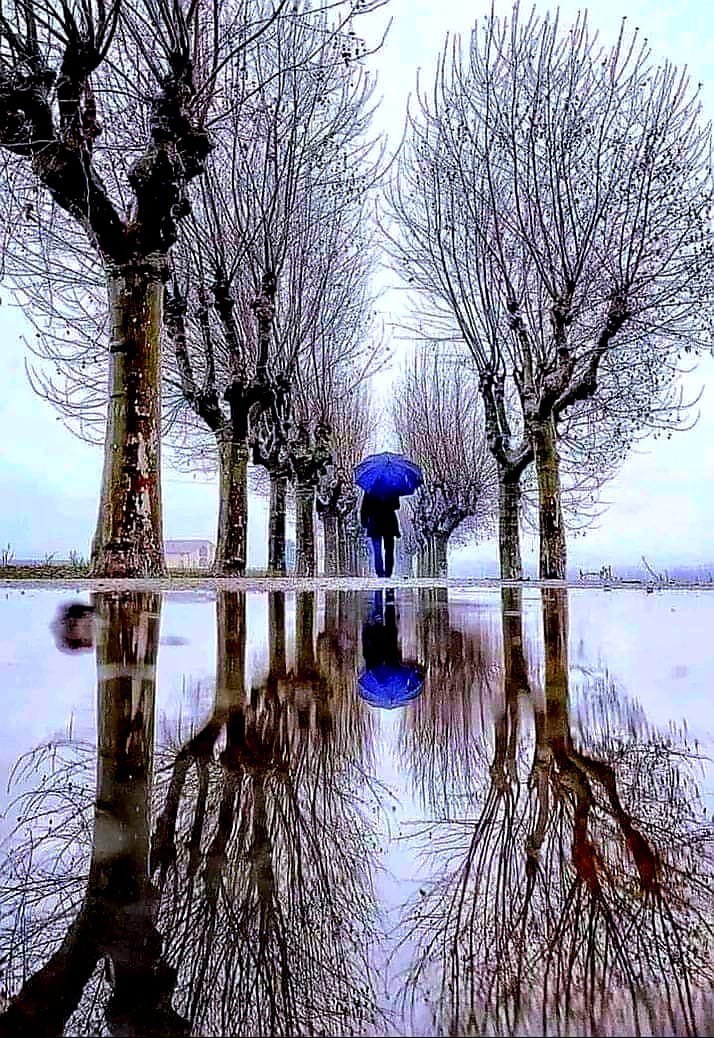 Solve Reflections jigsaw puzzle online with 204 pieces