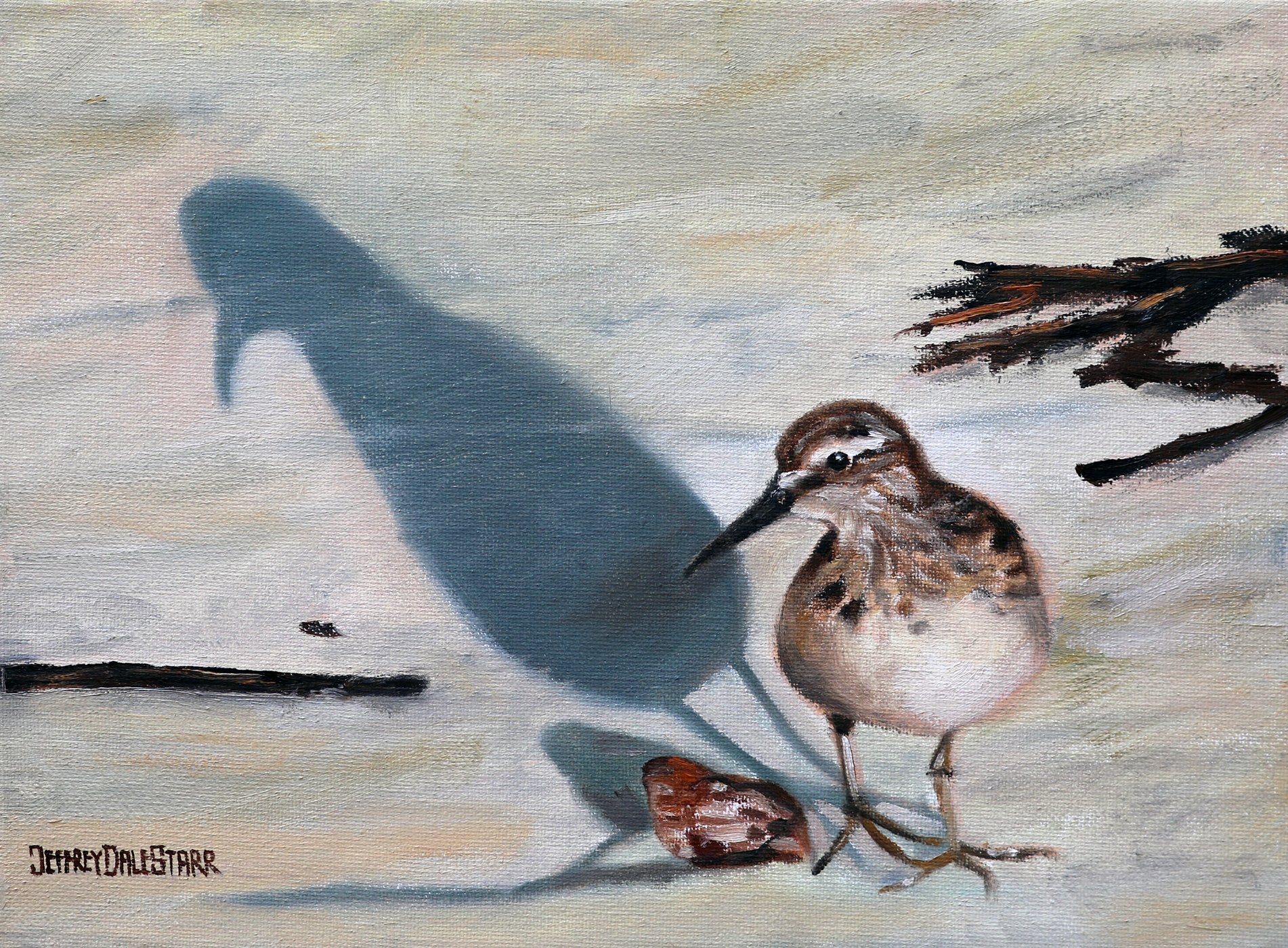 Jigsaw Puzzle | 70 pieces | oil-painting-of-sandpiper-and-shell | Jigidi